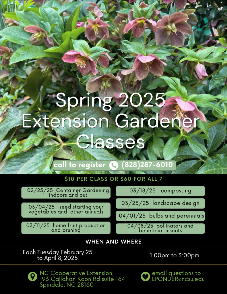 Gardening Classes at Rutherford Co Center This Spring | N.C ...